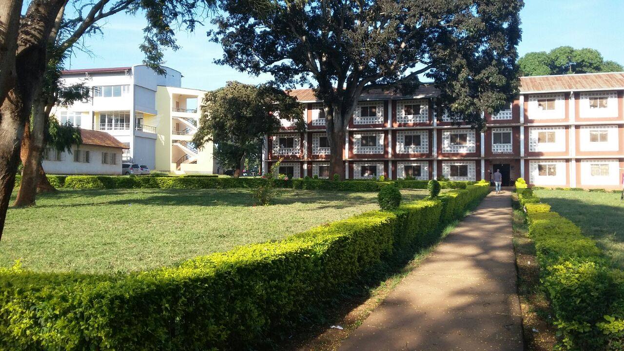 Mzumbe University Diploma Courses.