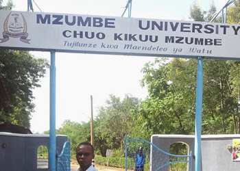 Mzumbe University Morogoro Courses Offered.